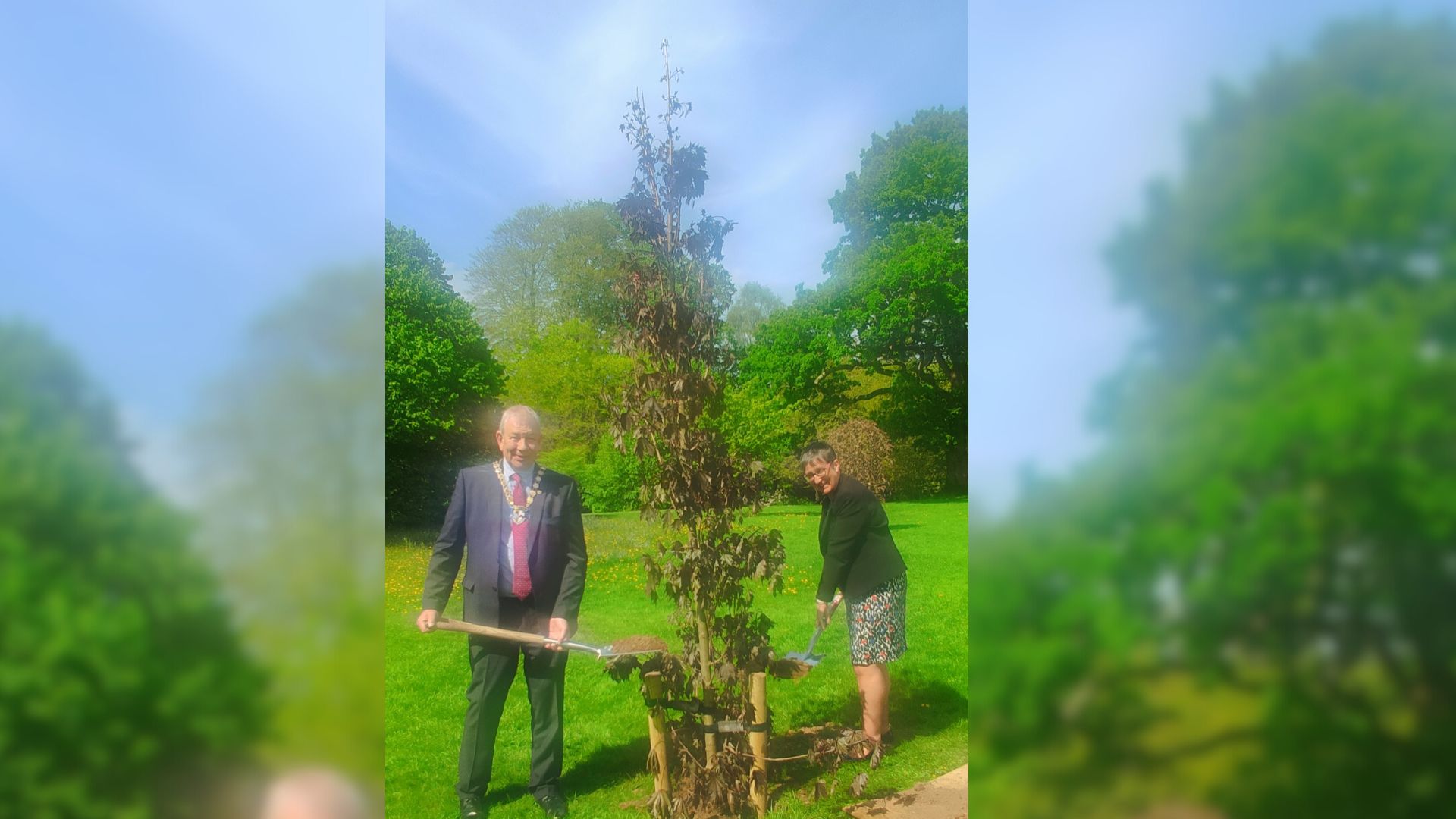 Tree planted in Rozelle Park, Ayr, to mark the King’s Coronation